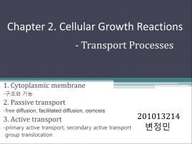 transport process(수송과정) ppt자료 및 대사-1페이지