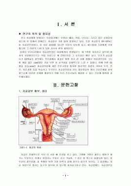 자궁경부암케이스-1페이지