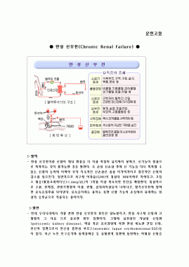 CRF (만성신부전) , 혈액투석, 복막투석, 간호진단-1페이지