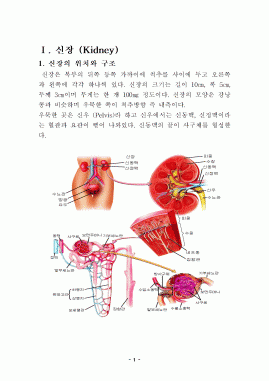 혈액투석(Hemodialysis)-1페이지