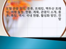 모험 관광 정의, 종류, 트레킹, 백두산 트레킹, 여행 일정, 현황, 계획, 관광지 소개, 종류, 특징, 역사, 국내 현황, 활성화 방안, 전망-1페이지