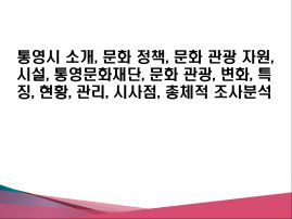 통영시 소개, 문화 정책, 문화 관광 자원, 시설, 통영문화재단, 문화 관광, 변화, 특징, 현황, 관리, 시사점, 총체적 조사분석-1페이지