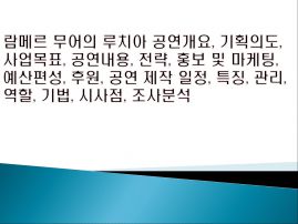 람메르 무어의 루치아 공연개요, 기획의도, 사업목표, 공연내용, 전략, 홍보 및 마케팅, 예산편성, 후원, 공연 제작 일정, 특징, 관리, 역할, 기법, 시사점, 조사분석-1페이지