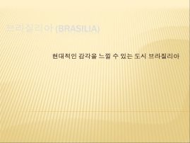 48,브라질리아,Brasilia,도시설계사례,단지설계사례,신행정수도,수도이전,브라질리아도시계획,르꼬르뷔제,행정수도이전,행정수도,해외수도건설,2500-1페이지