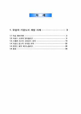 41,기업도시,기업도시발전방안,성공전략,개념및현황,유럽기업도시사례,기업도시사례,레버쿠젠,소피아 앙티폴리스,시스타 사이언스,랑그독 루시옹,울루-1페이지