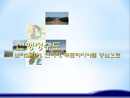 109,신행정수도,해외사례,신행정수도사례,브라질리아,캔버라,푸트라자야,신행정수도외국사례-1페이지