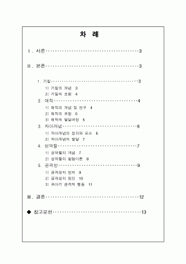 [보육학개론] 유아의 사회성 발달에 관한 이론적 고찰-1페이지