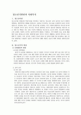 [인간행동과 사회환경] 청소년기발달과 사회복지-1페이지