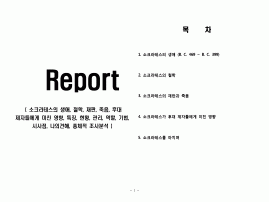 소크라테스의 생애, 철학, 재판, 죽음, 후대 제자들에게 미친 영향, 특징, 현황, 관리, 역할, 기법, 시사점, 나의견해, 총체적 조사분석-1페이지