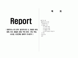 플로티노스의 생각, 일자로서의 신, 유출의 비유, 세계, 인간, 물질의 세계, 악의 원인, 구원, 특징, 시사점, 나의견해, 총체적 조사분석-1페이지