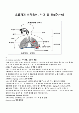 호흡기계 의학용어, 약어 해설(A~W)-1페이지