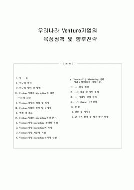 우리나라 벤쳐(Venture)기업의 육성정책 및 향후전략-1페이지