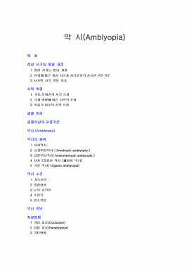 [의학] 시력 - 약시(Amblyopia)-1페이지