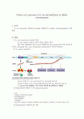 [생화학 실험보고서] Protein over expression in E. coli and purification by affinity chromatography-1페이지