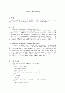 [생화학 실험보고서] Detection of subcloning-1페이지