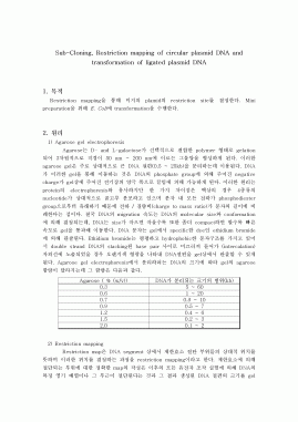 [생화학 실험보고서] Sub 클로닝, 원형플라스미드 DNA 지도제작-1페이지