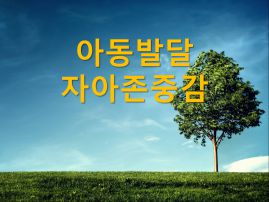 [사범/법학] 아동발달 자아존중감-1페이지