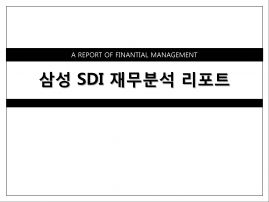 삼성SDI 재무분석 리포트 (A Report of Finantial Managemnet)-1페이지