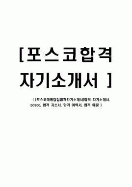 [포스코마케팅팀합격자기소개서]합격 자기소개서, posco, 합격 자소서, 합격 이력서, 합격 예문-1페이지