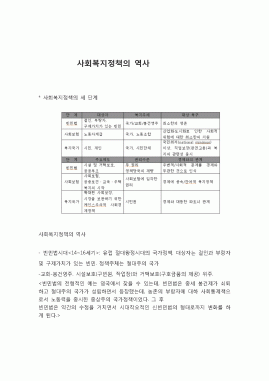 사회복지정책의 역사 [인문과학]-1페이지