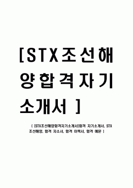 [STX조선해양합격자기소개서]합격 자기소개서, STX 조선해양, 합격 자소서, 합격 이력서, 합격 예문-1페이지