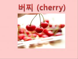 버찌 (cherry)-1페이지