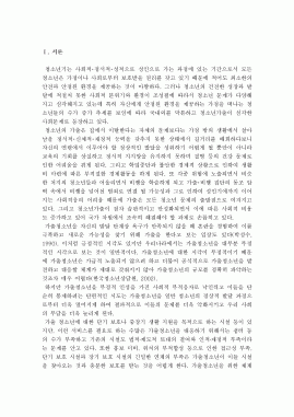 청소년 가출의 원인, 문제점, 해결방안(프로그램)을 제시하시오-1페이지