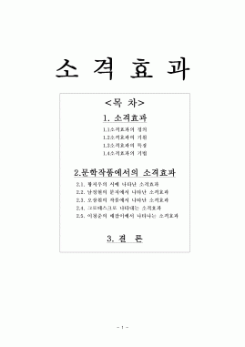  소격효과-1페이지