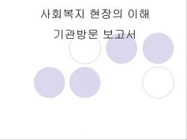 [사회복지 현장의 이해] 기관방문 보고서 - 부산보호관찰소-1페이지