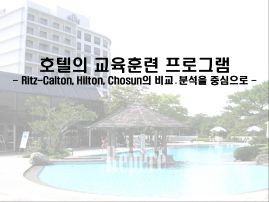 [비즈니스/경제] 호텔의 교육훈련 프로그램 [Ritz-Calton, Hilton, Chosun의 비교․분석을 중심으로]-1페이지