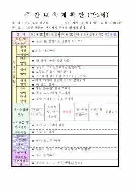 법인 어린이집 평가인증 통과한 만2세 6월 동물 보육일지-1페이지