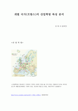 프랑스의 산업혁명 특성분석-1페이지