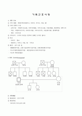 [간호사정] 가족간호과정-1페이지