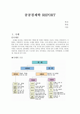 공공경제학 국세와지방세구조-1페이지