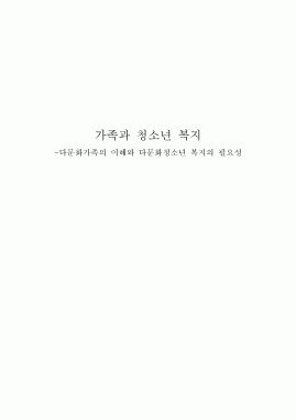 가족과 청소년 복지 - 다문화가족의 이해와 다문화청소년 복지의 필요성 - -1페이지