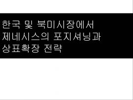 한국 및 북미시장에서 제네시스의 포지셔닝과 상표확장 전략-1페이지