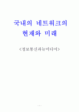 국내의 네트워크의 현재와 미래-1페이지