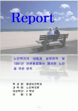 노인복지론4E) 노인복지의 내용과 실천전략 및 1991년 유엔총회에서 제시한 노인을 위한 원칙-1페이지