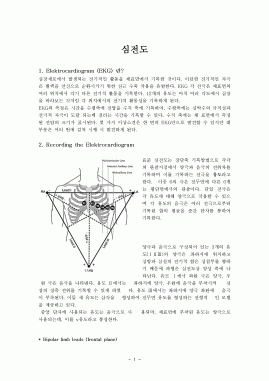 심전도 Elektrocardiogram-1페이지