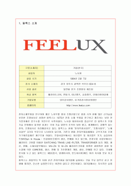 감성조명 필룩스(feelux)의 기업전략 성공사례-1페이지