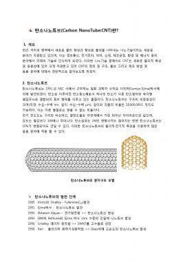 탄소나노튜브(Carbon NanoTube:CNT) - 구조 및 물성, 합성, 응용, 향후 과제-1페이지