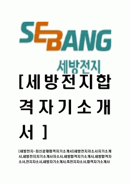 [세방전지-최신공채합격자기소개서] - 성격, 차별화된 강점, 실패경험, 10년후 계획-1페이지