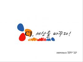 CJ E&M 경영전략분석-1페이지