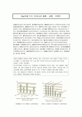 빅10우리나라 제품 및 미래기술들 (유비쿼터스)-1페이지