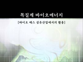 목질계 바이오에너지 (바이오 매스 섬유산업에서의 활용)-1페이지