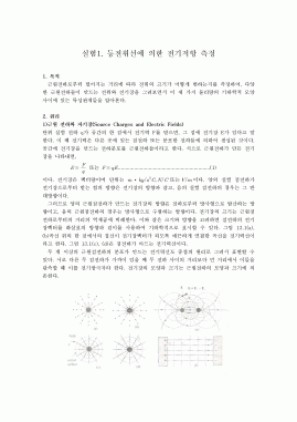 실험1. 등전위선(Equipotential Lines)에 의한 전기저항 측정-1페이지