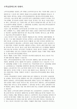 소액심판제도에 대해 분석과 고칠점-1페이지