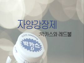 경영전략 박카스-1페이지