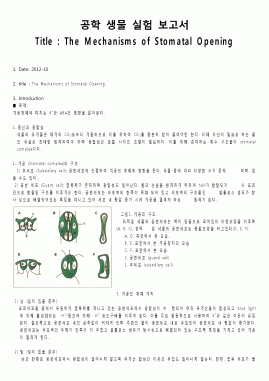 6주차 The Mechanisms of Stomatal Opening 기공개폐 A+ 보고서-1페이지