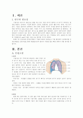 기흉환자간호 케이스 스터디 (spontaneous pneumothorax case study)-1페이지